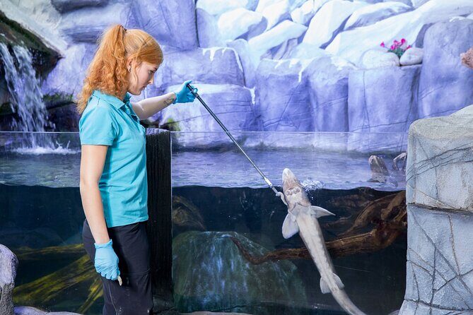 Combi Ticket: LEGOLAND Discovery Centre & SEA LIFE Oberhausen - Final Thoughts