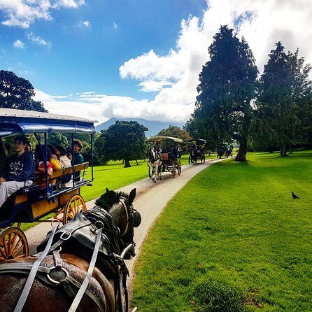 Combination Killarney Jaunting Car Tour and Lakes of Killarney Cruise - Is This Tour Right for You?