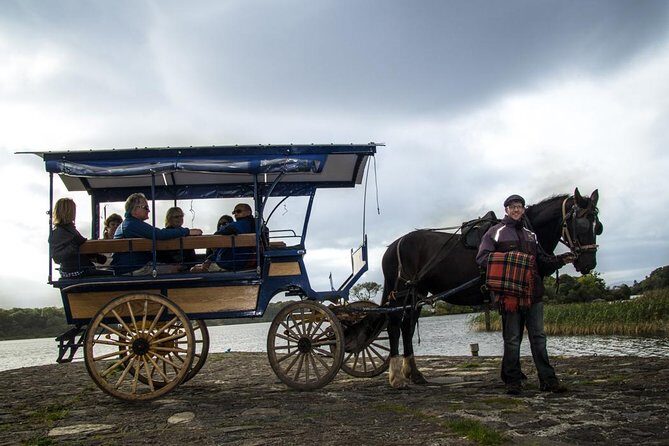 Combination Killarney Jaunting Car Tour and Lakes of Killarney Cruise - Final Thoughts: Who Will Love This Tour?