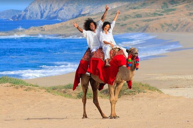 Combination Tour in Cabo San Lucas Mexico - The Value of the Experience