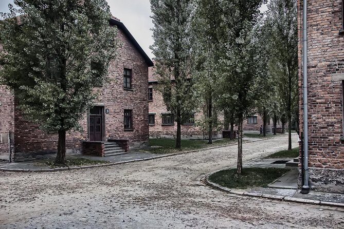 Combined tour Auschwitz Birkenau guided & Salt Mine guided from Krakow - Final Thoughts: Who is this tour best for?