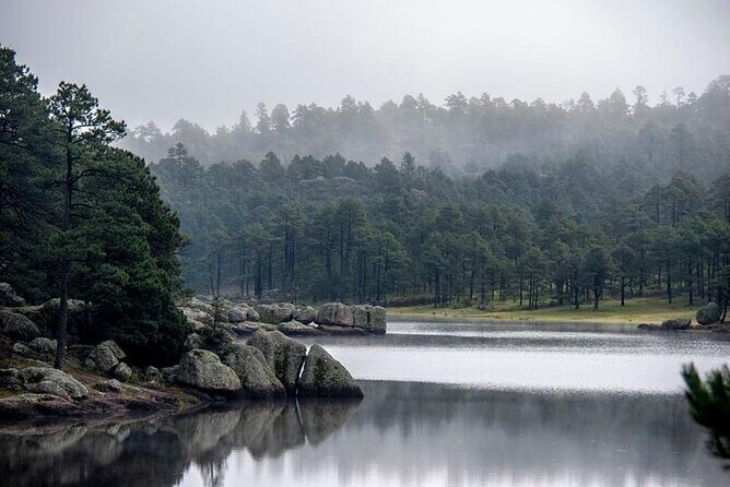 Combined Tour - Practical Aspects and Value