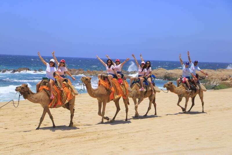Combo 4X4 Automatic ATV & Camel Ride in Cabo by Cactus Tours - Key Points