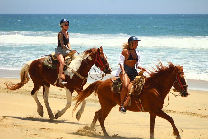 Combo Adventure with Horse, ATV or RZR and Tequila Tasting - What to Expect at Each Stage