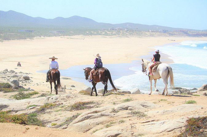 Combo Adventure with Horse, ATV or RZR and Tequila Tasting - Authentic Experiences & Reviewer Insights