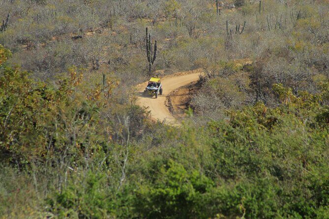 Combo Adventure with Horse, ATV or RZR and Tequila Tasting - Who Is This Tour Best For?