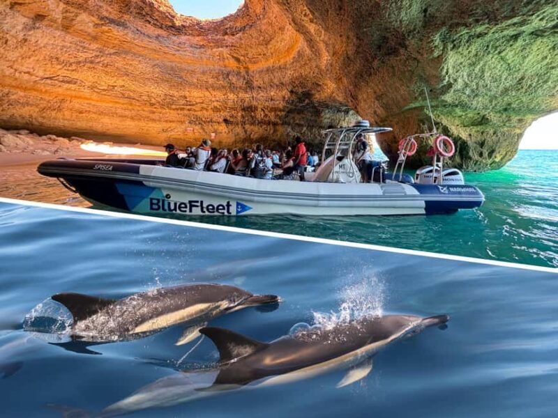 Combo: Benagil & Dolphins Boat Tour w/ Marine Biologists - The Experience in Detail