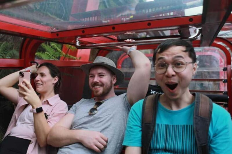 Combo: Blue Mountain Tour + Sydney Hop-on-Hop-off Bus Ticket - The Itinerary in Detail: What You Can Expect