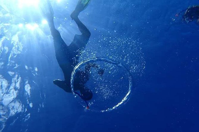 Combo Diving and Snorkeling Half-Day Tour - Practical Details and Tips