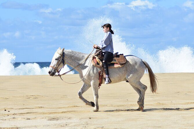 Combo Double Utv + Horses - Summary