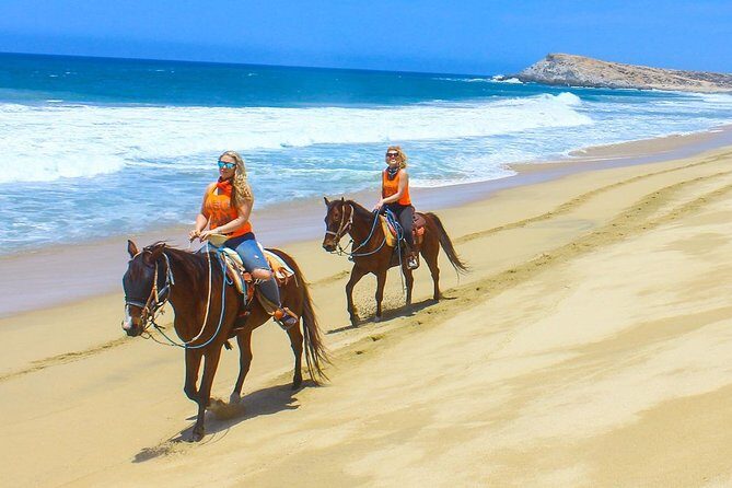 COMBO Horseback Riding & UTV Tour - Key Points