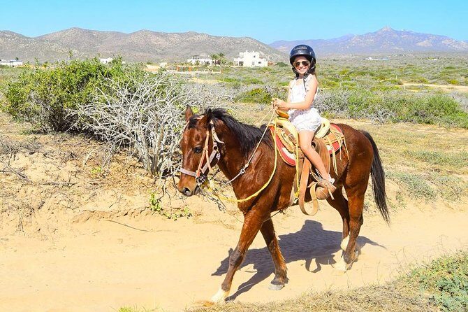 COMBO Horseback Riding & UTV Tour - The Value and Why It Works