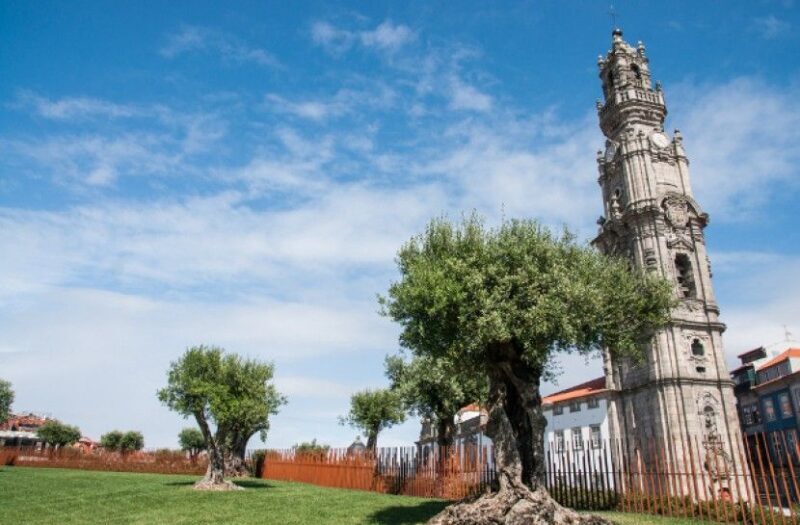 Combo: Porto City Half-Day Tour & Aveiro Half-Day Tour - An In-Depth Look at the Tour
