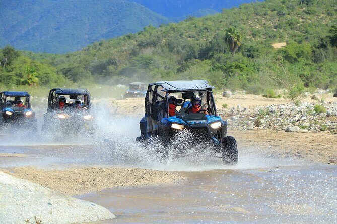 Combo Single Offroad 4x4 UTV, Camel Ride, Lunch & Tequila Tasting - An In-Depth Look at the Adventure