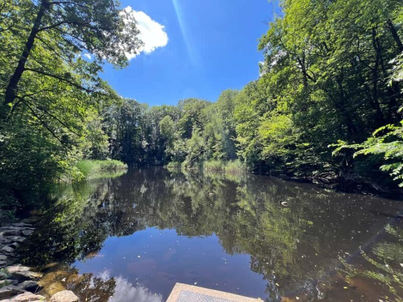 Combo ticket: Ernst Fuchs Museum & Otto Wagner Complex with smartphone guide - Key Points