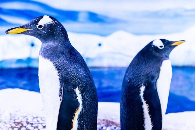 Combo Ticket: Madame Tussauds & SEA LIFE London Aquarium - What the Experience Offers
