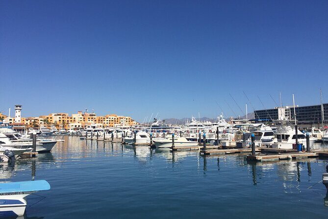 Combo Tour: City Tour of Cabo San Lucas and Beach Day - Final Thoughts