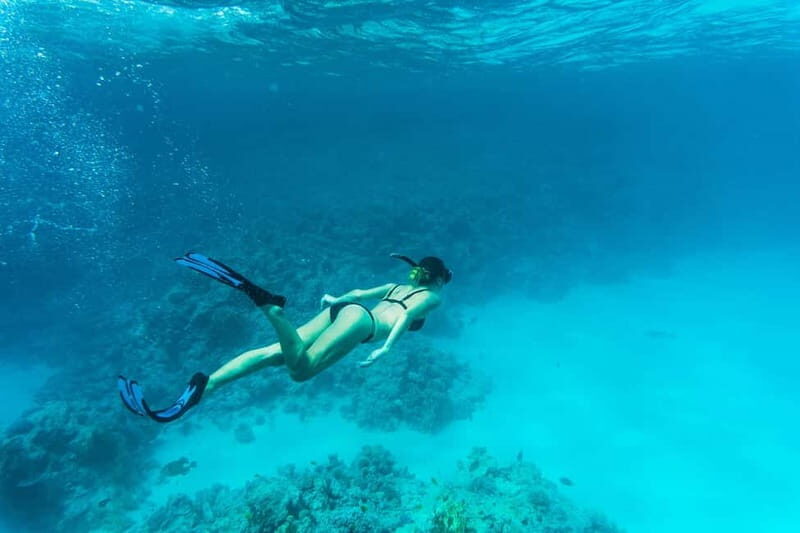 Comino: Blue Lagoon, Crystal Lagoon and Sea Caves Boat Tour - Final Verdict