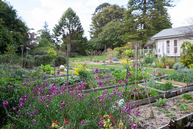 Como House: Guided Garden Tour - Key Points