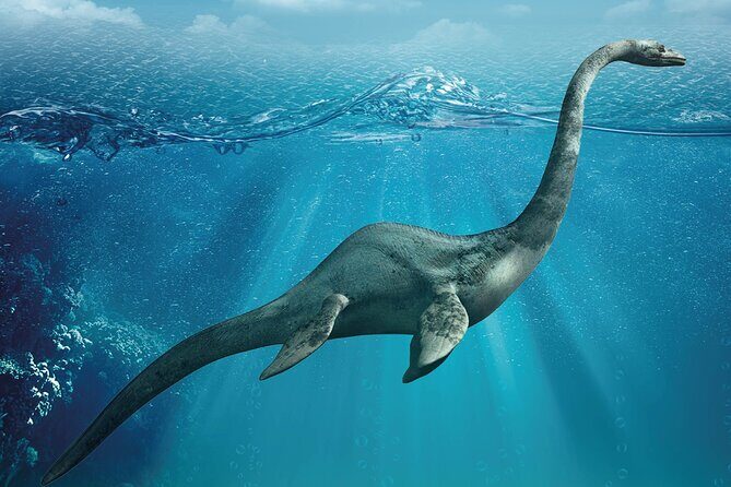 Como Walking Tour with Audio and Written Guide by a Local - Final Thoughts: Who Will Love This Tour?