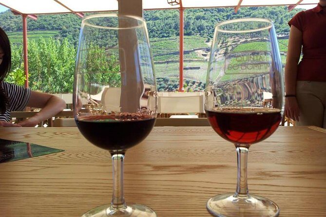 Complete Douro Valley Wine Tour with Lunch, Wine Tastings and River Cruise - Final Thoughts