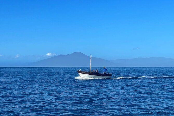 Complete Private Guided Two Hour Tour of the Coast of Capri - Practical Tips & Considerations