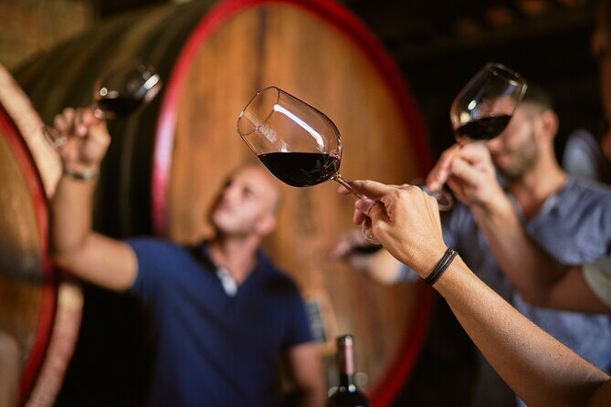 Complete tasting of Castello di Bossi - Who Will Love This Experience?  