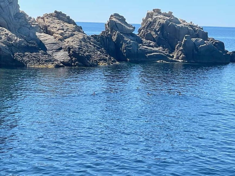 Complete tour of Elba Island - The Sum Up: who’s this tour best suited for?