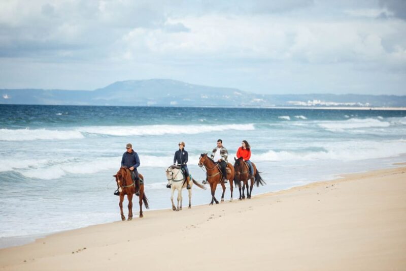 Comporta: Guided Horseback Riding Experience - Why Choose the Comporta Horseback Riding Tour?