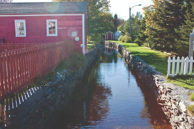 Conception Bay Tour Experience - Why This Tour Works