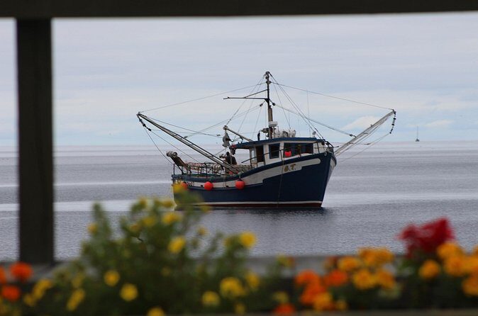 Conception Bay Tour Experience - FAQ