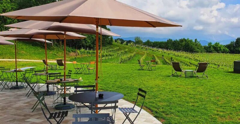 Conegliano: Prosecco Hills and Vineyards tour - Key Points