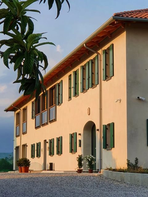 Conegliano: Prosecco Hills and Vineyards tour - Why This Tour Stands Out