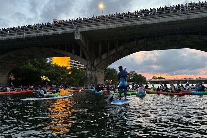 Congress Avenue Bat Bridge Paddleboard Tour - Final Thoughts: Who Will Love This Experience?