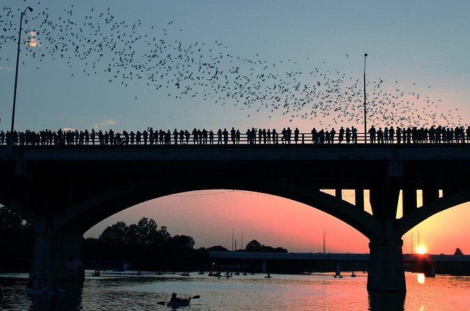 Congress Bridge Kayaking Bat Tour - Why This Tour Is Worth It