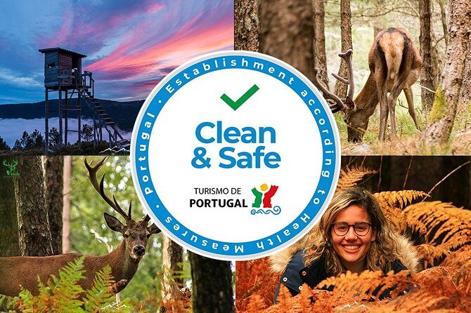 Conimbriga and The Roman Tour - A Closer Look at the Itinerary