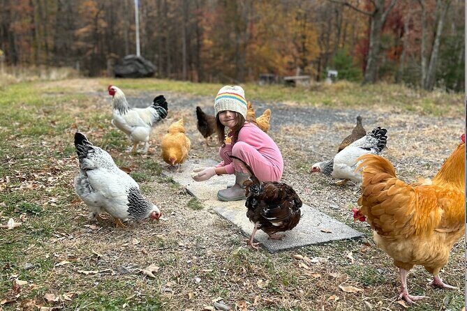 Connect with Rescue Animals on a Private Farm Tour in Catskills - Who’s This Tour Best For?