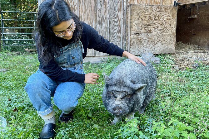 Connect with Rescue Animals on a Private Farm Tour in Catskills - The Sum Up
