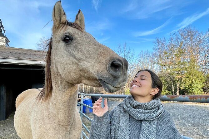 Connect with Rescue Animals on a Private Farm Tour in Catskills - FAQ