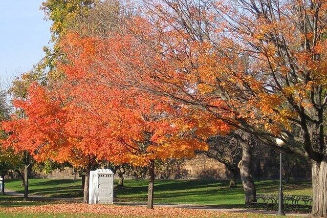 Connecticut Maple Foliage 1 Day Tour From New York - FAQ