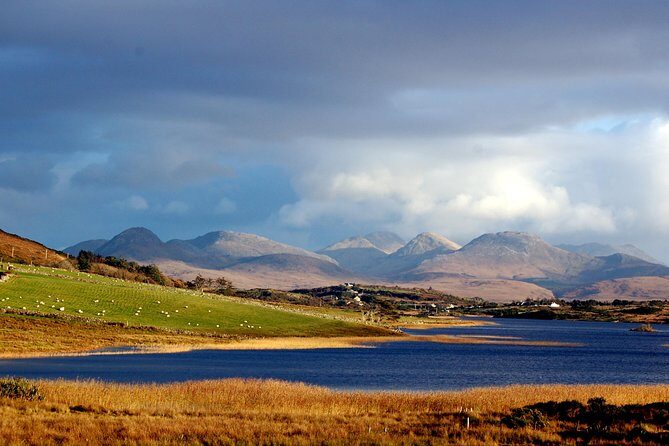 Connemara & Connemara National Park day tour from Galway. Guided. - An In-Depth Look at the Connemara Day Tour