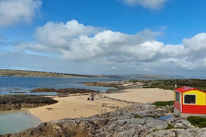 Connemara Sheep Farm experience & Kylemore Abbey by Lux Limousine - Transportation, Price, and Overall Value
