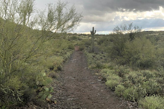 Contact us to book your time. Best Trail Rides in Arizona. - Who Will Love This Trail Ride?
