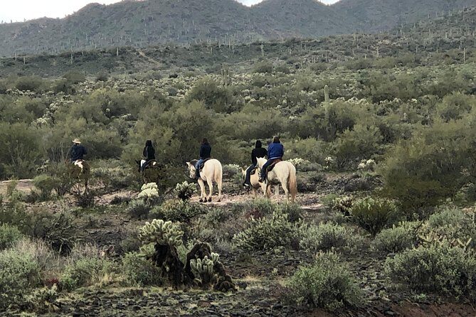 Contact us to book your time. Best Trail Rides in Arizona. - Additional Practical Details
