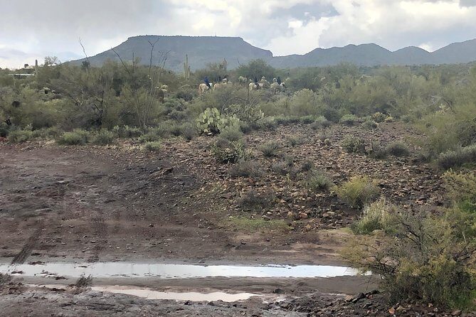 Contact us to book your time. Best Trail Rides in Arizona. - Who Should Consider This Experience?