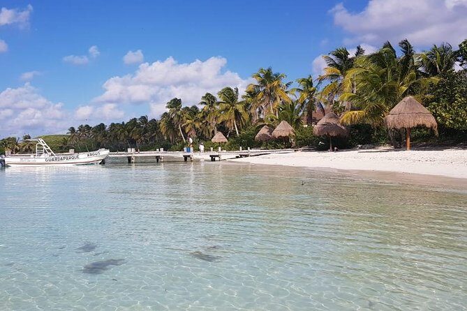 Contoy Island - Practical Details & Tips