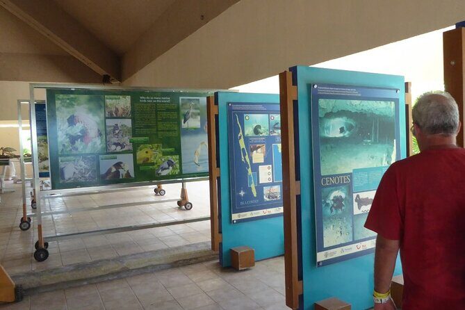 Contoy Island Tour from Cancun and Isla Mujeres with Snorkeling - Why This Tour Offers Good Value