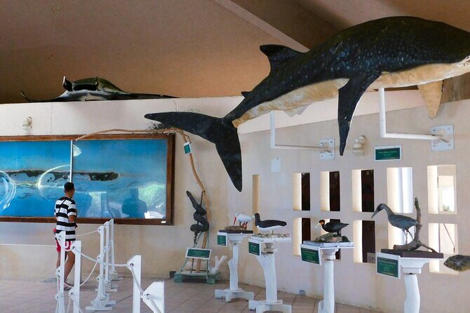 Contoy Island Tour from Cancun and Isla Mujeres with Snorkeling - Perfect for Who?