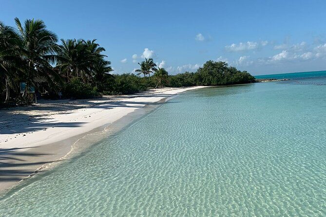 Contoy Island Tour from Cancun and Isla Mujeres with Snorkeling - Final Thoughts