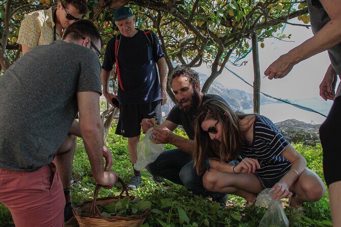 Cooking Class with garden visit - Why This Tour Stands Out